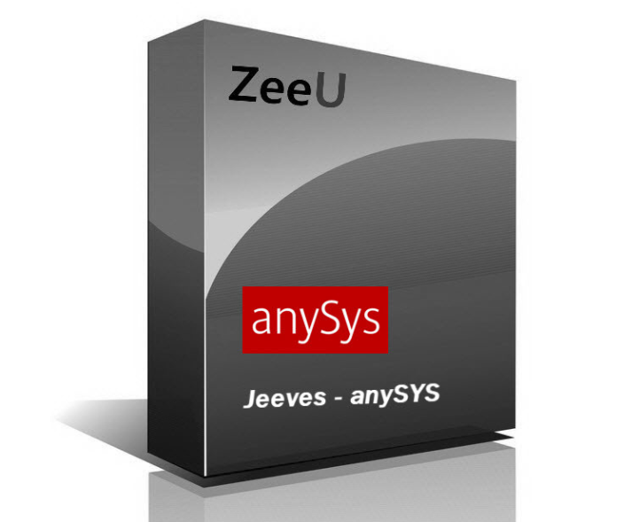 anySYS | ZeeU